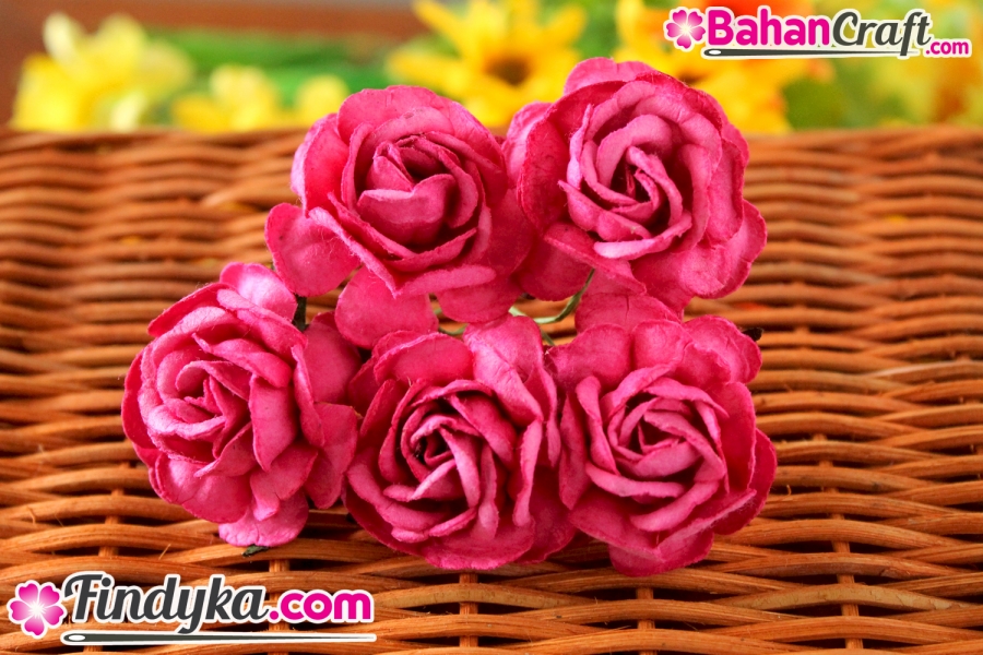 Findyka.com - Aplikasi bunga mawar besar fanta