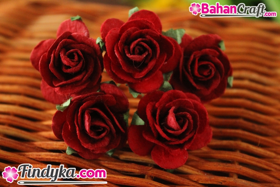 Findyka.com - Aplikasi bunga mawar sedang maroon