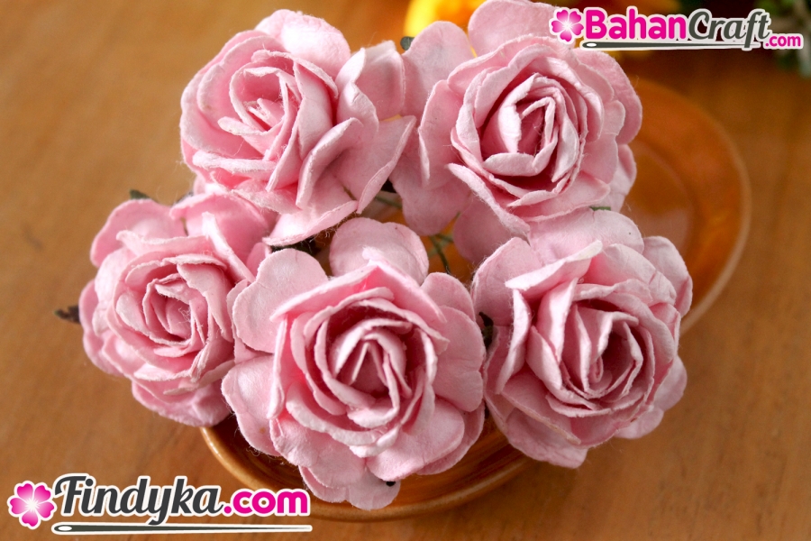 Findyka.com - Aplikasi bunga mawar besar pale pink