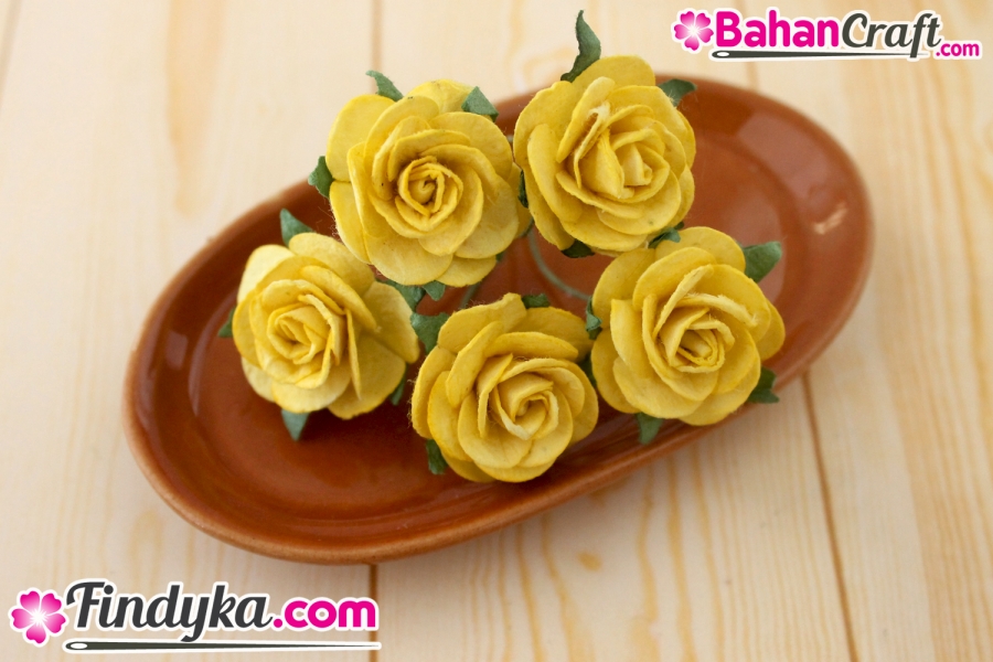 Findyka.com - Aplikasi bunga mawar sedang kuning