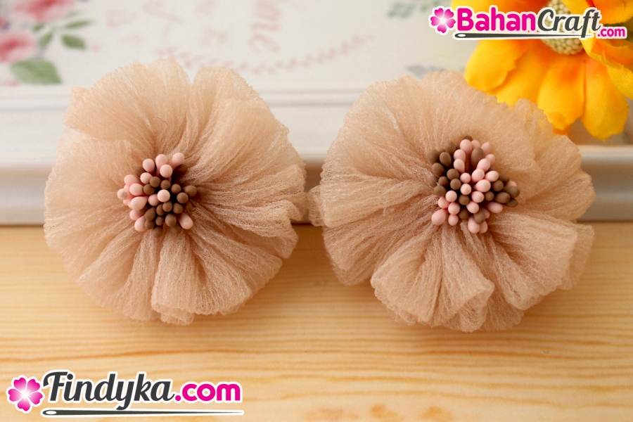 Findyka.com - Bunga poppy irish brown