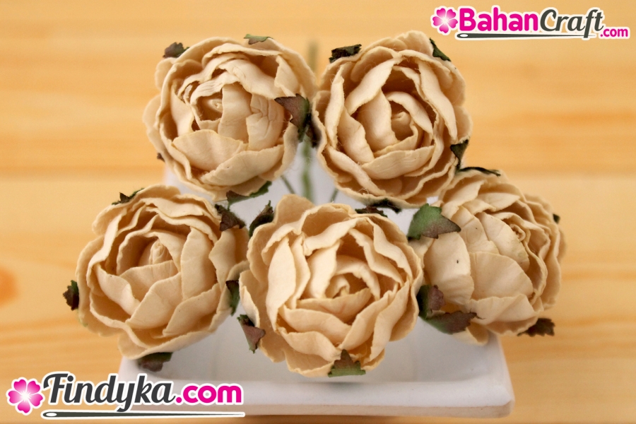 Findyka.com - Bunga ranunculus cream