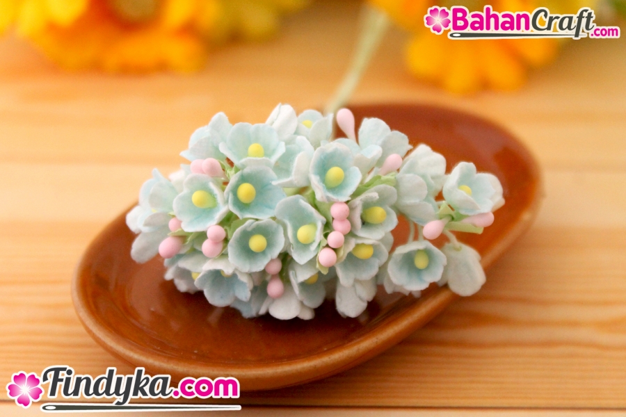 Findyka.com - Bunga violces tosca muda