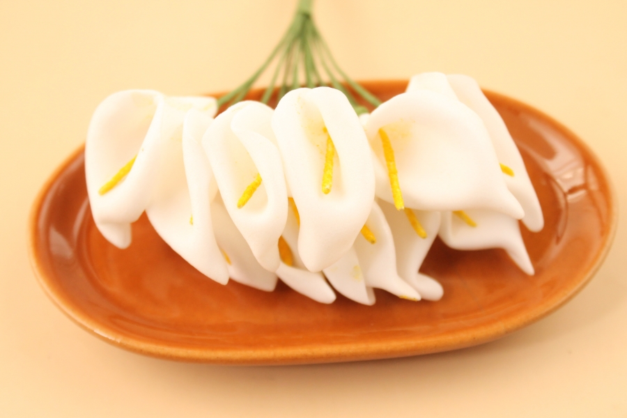 Findyka.com - aplikasi bunga lily gabus putih