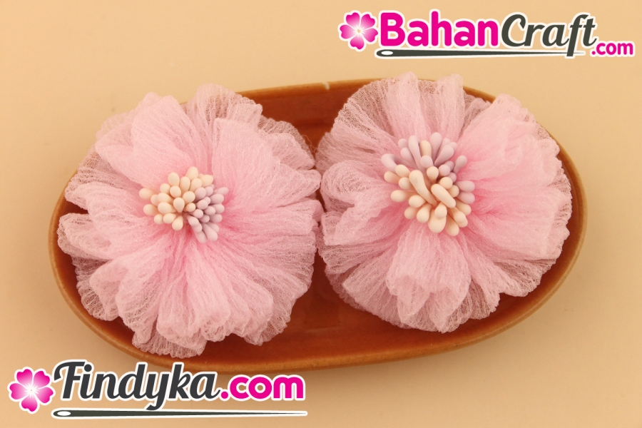 Findyka.com - Bunga poppy irish pink